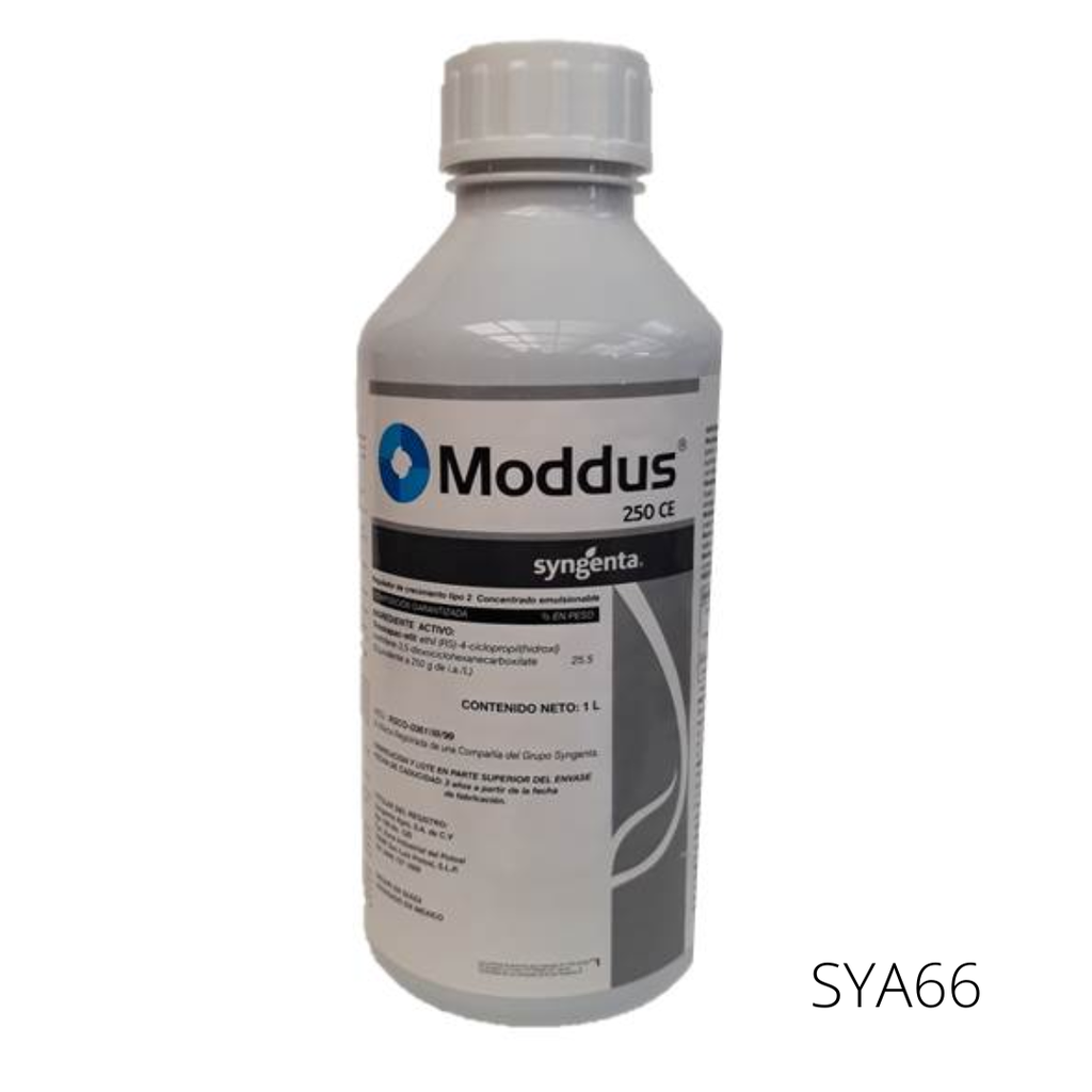 MODDUS 250 CE Syngenta Trinexapac-etil Regulador 1 L | AMROMA